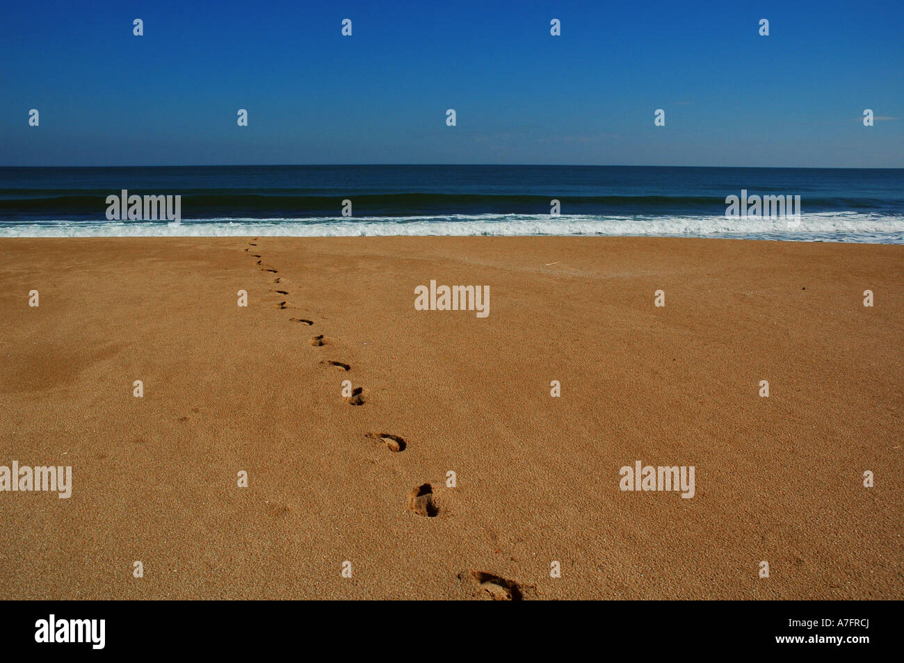 and they became one Stock Photo - Alamy