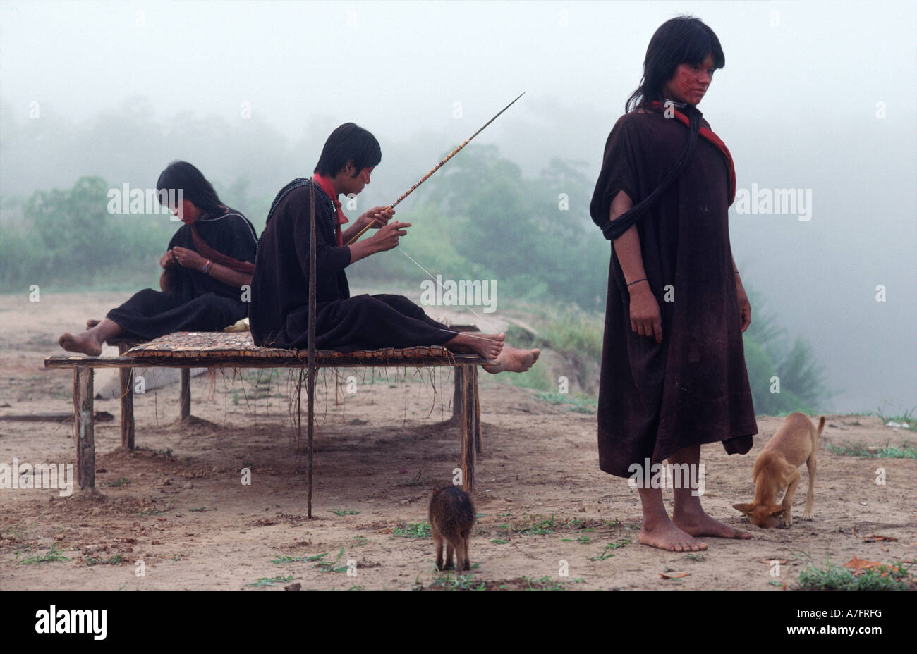 Brazil tribe arrow hi-res stock photography and images - Alamy