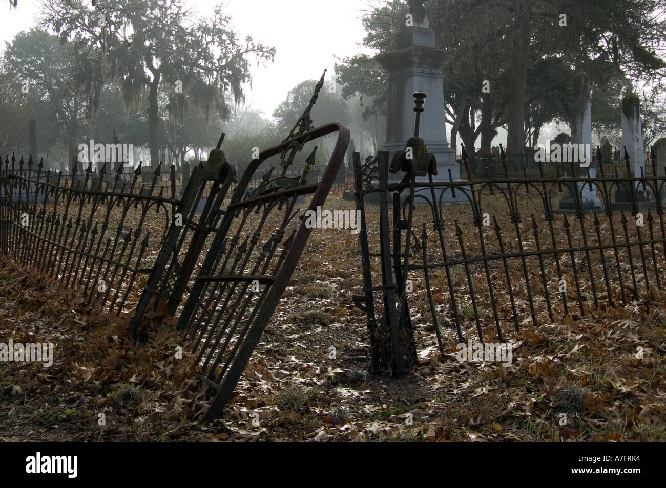 Iron fence in cemetary Stock Photo - Alamy