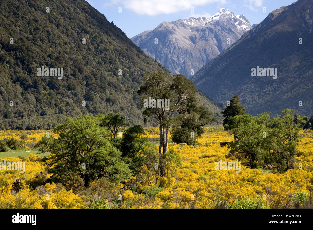 Otira hi-res stock photography and images - Alamy