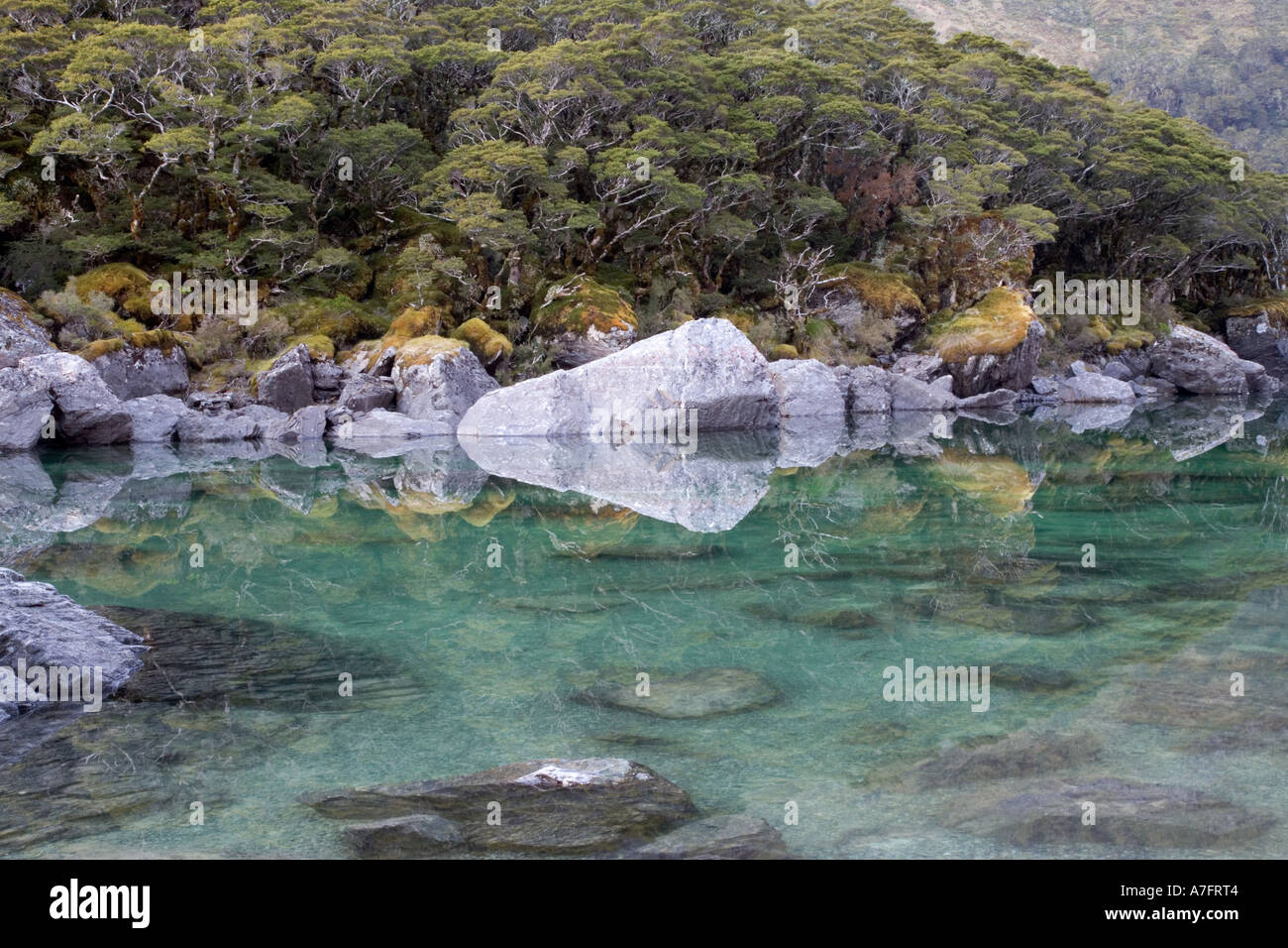 Mckenzie track hi-res stock photography and images - Alamy