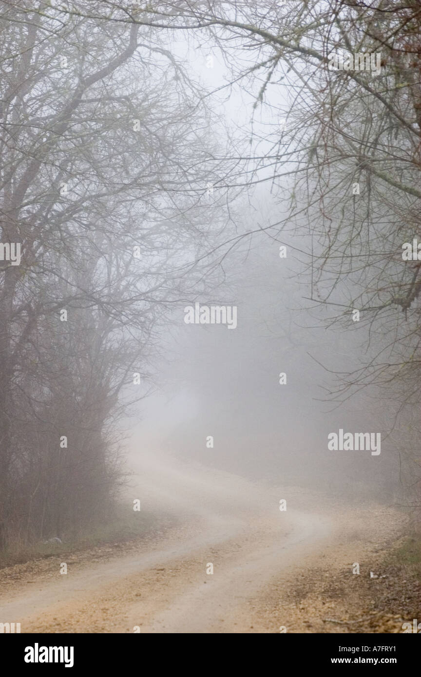 Very foggy road hi-res stock photography and images - Alamy