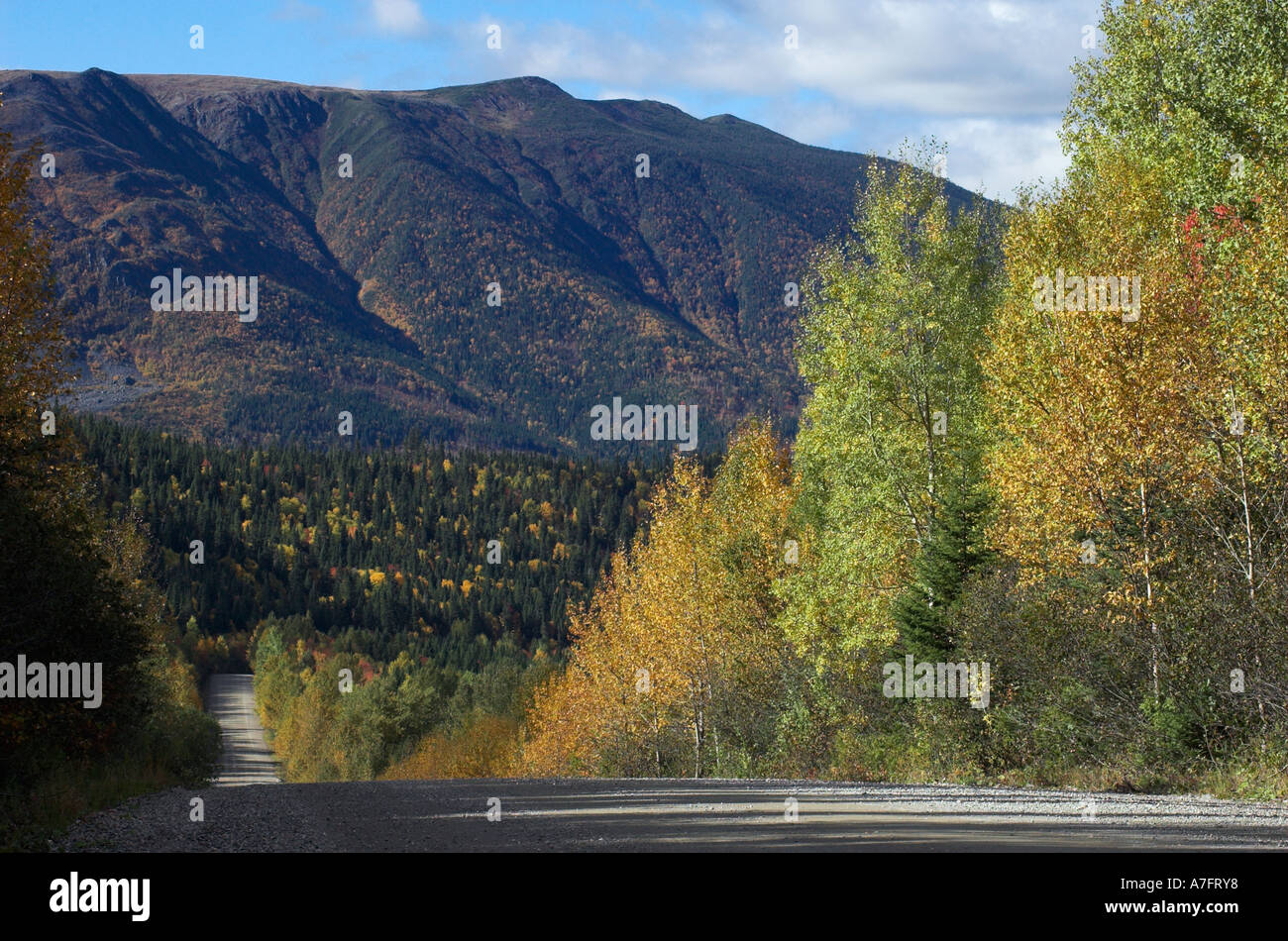 Road and trees Quebec Canada Stock Photo - Alamy
