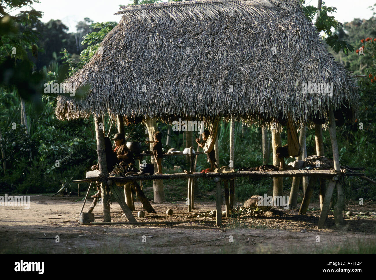 An Ashaninka house Stock Photo - Alamy