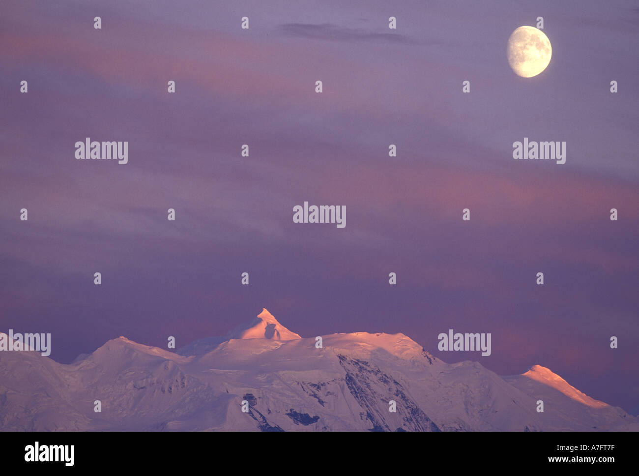 USA, Alaska, Denali NP. Moon over the alpenglow-lit summit of Mt ...