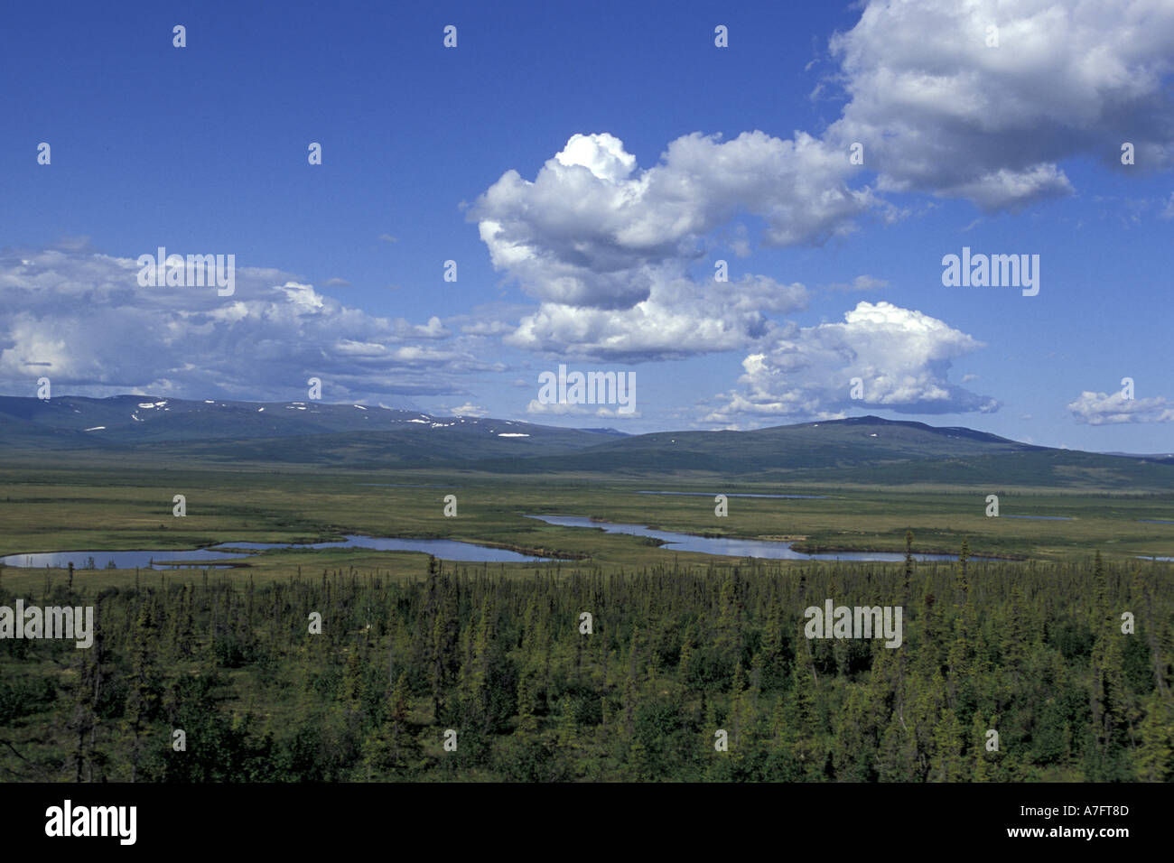 Kanuti flats hi-res stock photography and images - Alamy