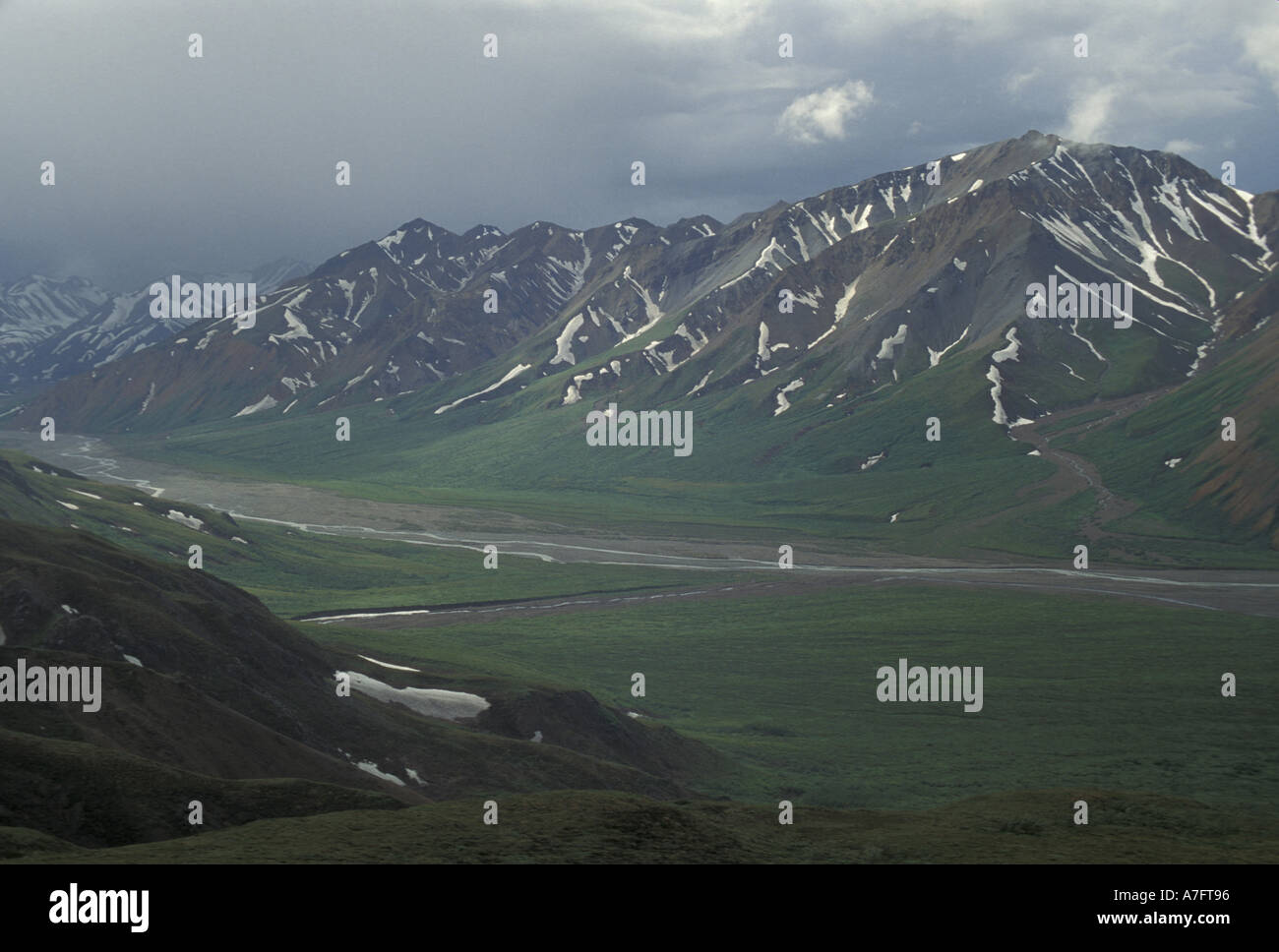 North America, US, AK, Denali National Park, The Toklat River as it ...