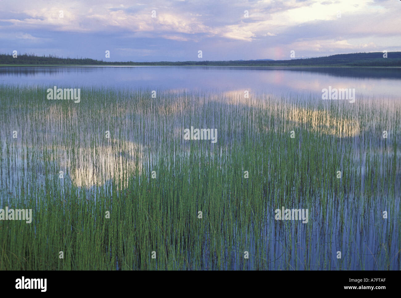 Deadman lake hi-res stock photography and images - Alamy