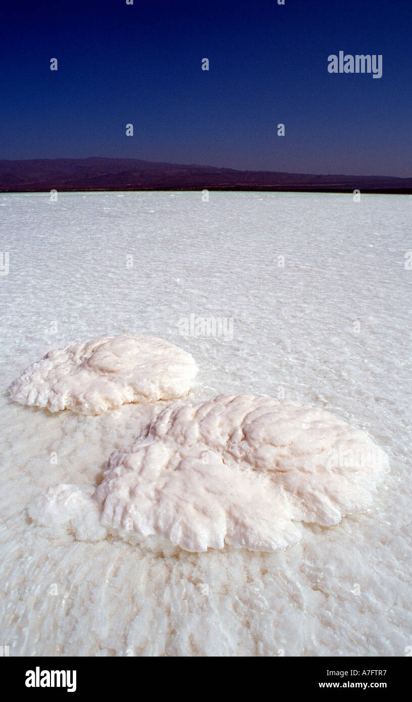 Lac Assal Lake Assal Djibouti Djibuti Africa Afar Triangle Stock Photo ...