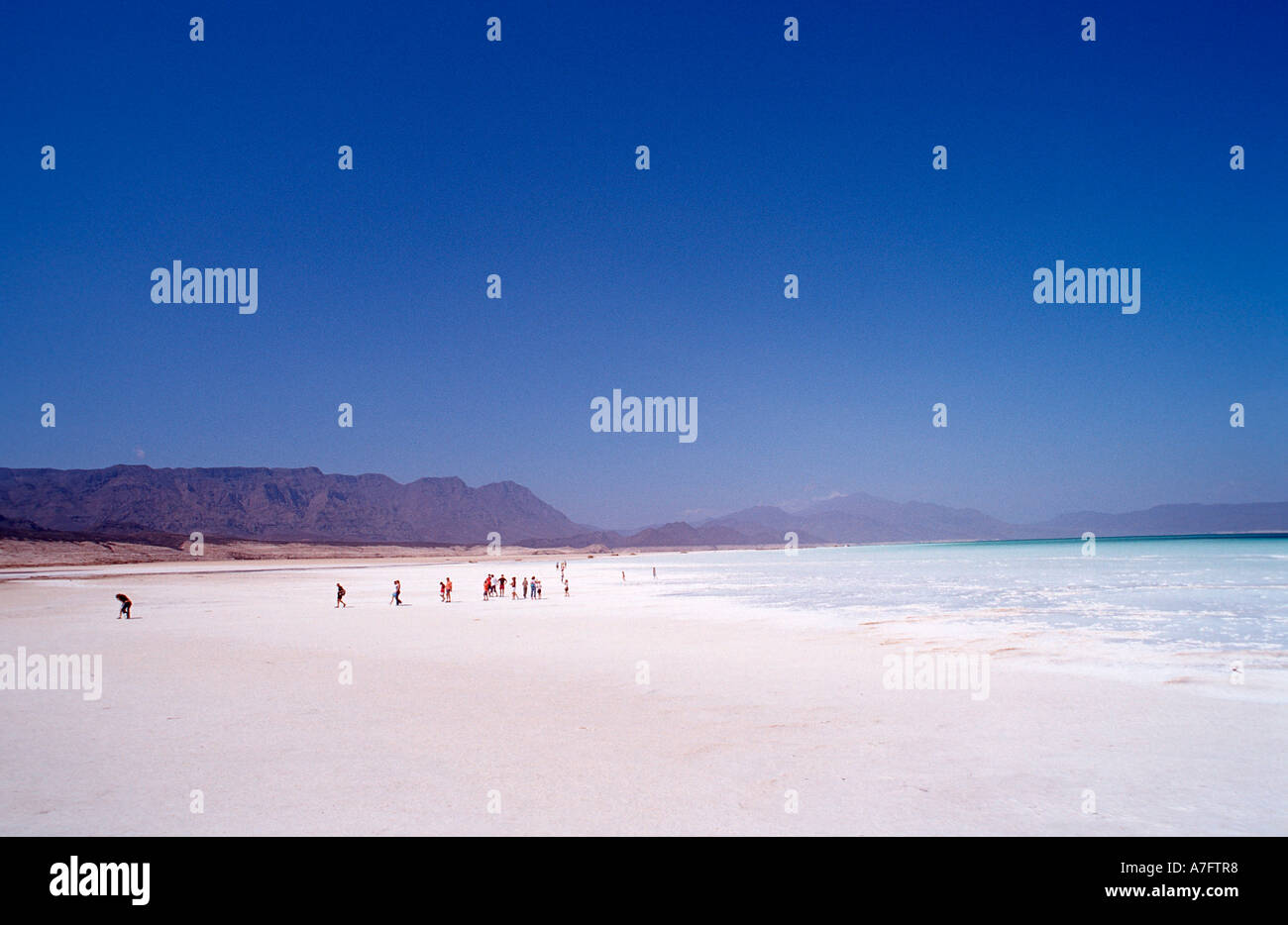 Lac Assal Lake Assal Djibouti Djibuti Africa Afar Triangle Stock Photo ...