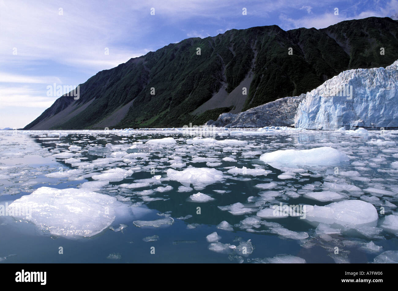 U.S.A., Alaska, Kenai Fjords National Park Icebergs float past Alalik ...