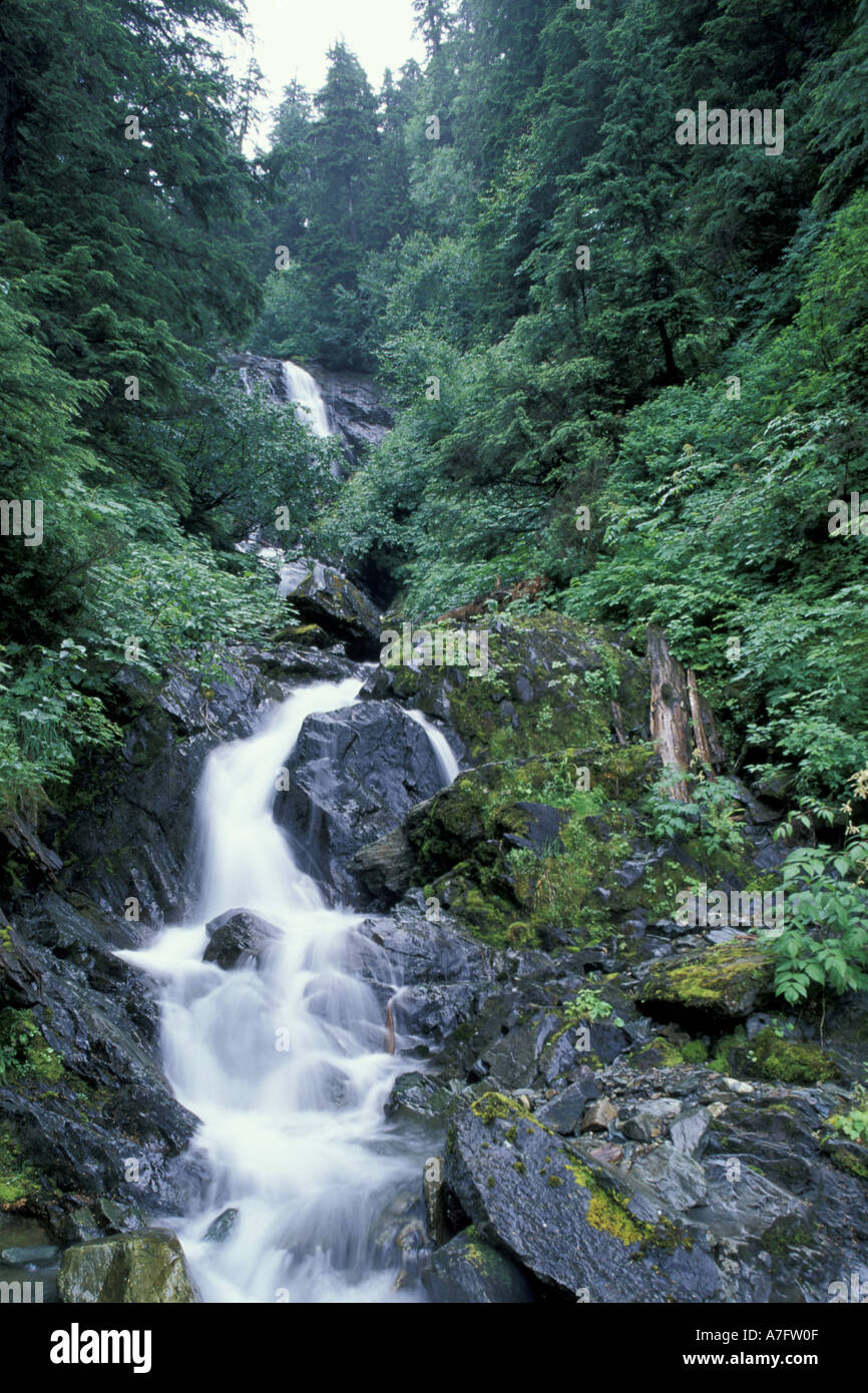 Alaska, Tongass National Forest Small stream cascades in rainforest ...