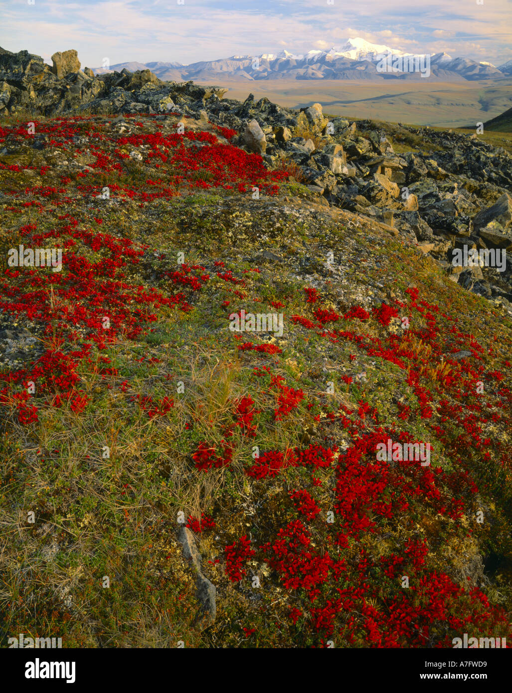 Romanozov mountains hi-res stock photography and images - Alamy