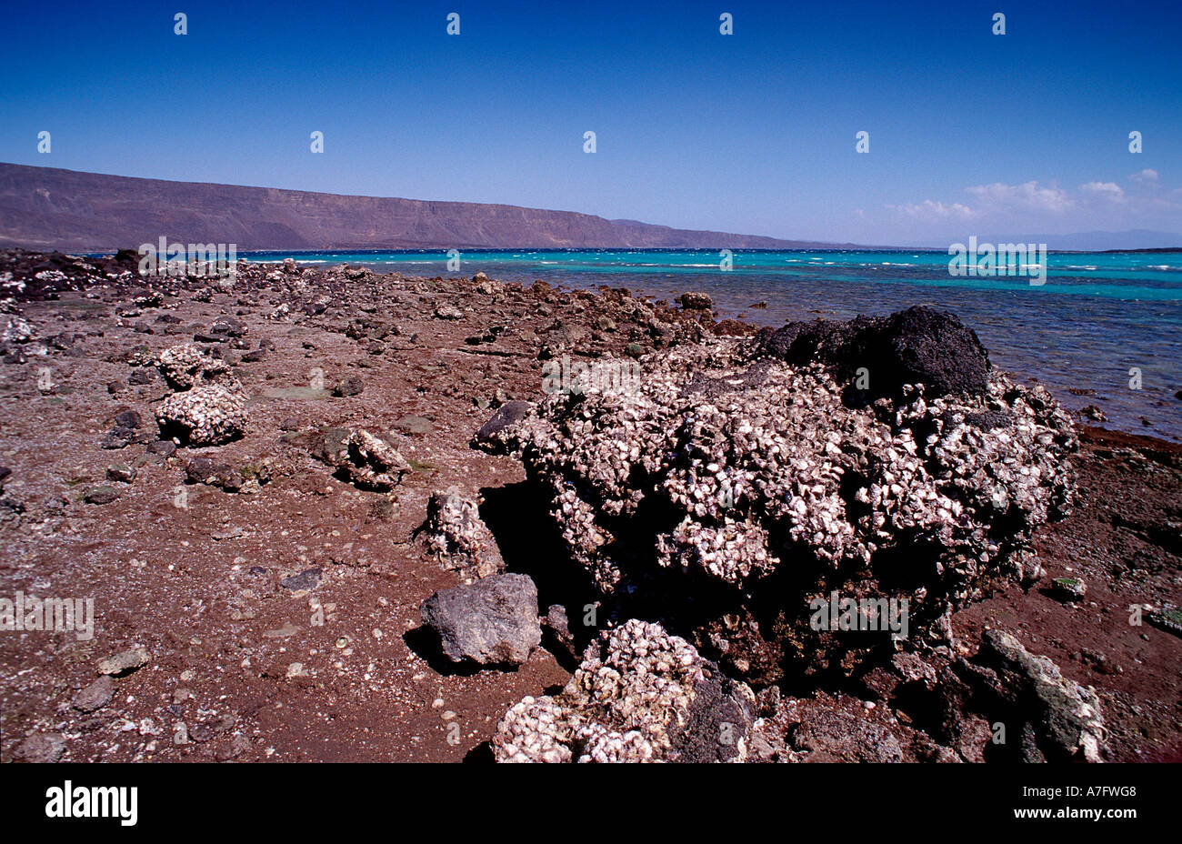 desert Djibouti Djibuti Africa Afar Triangle Stock Photo - Alamy