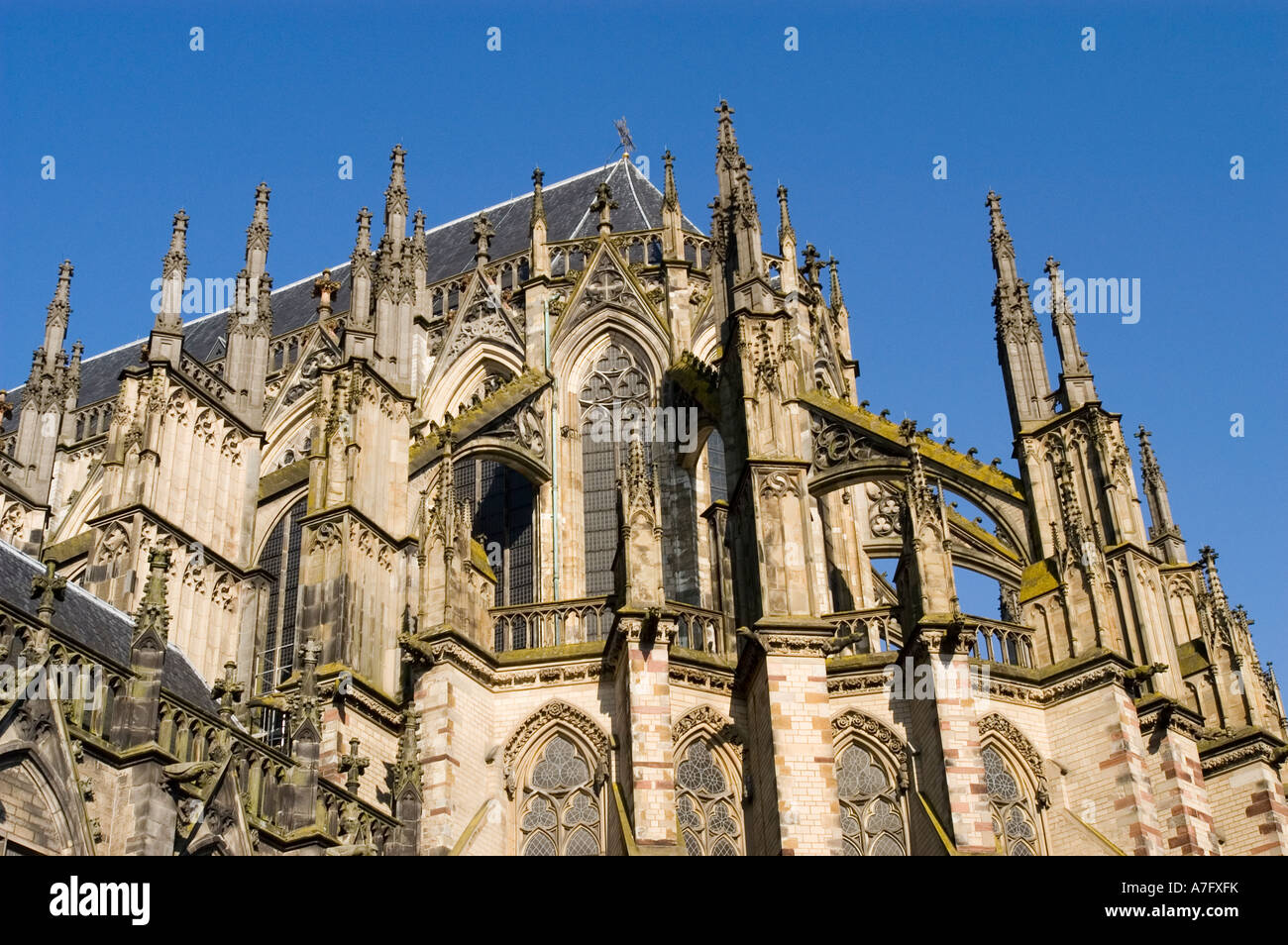 Gothic Domkerk or Dome Church with blue sky background Utrecht Holland ...