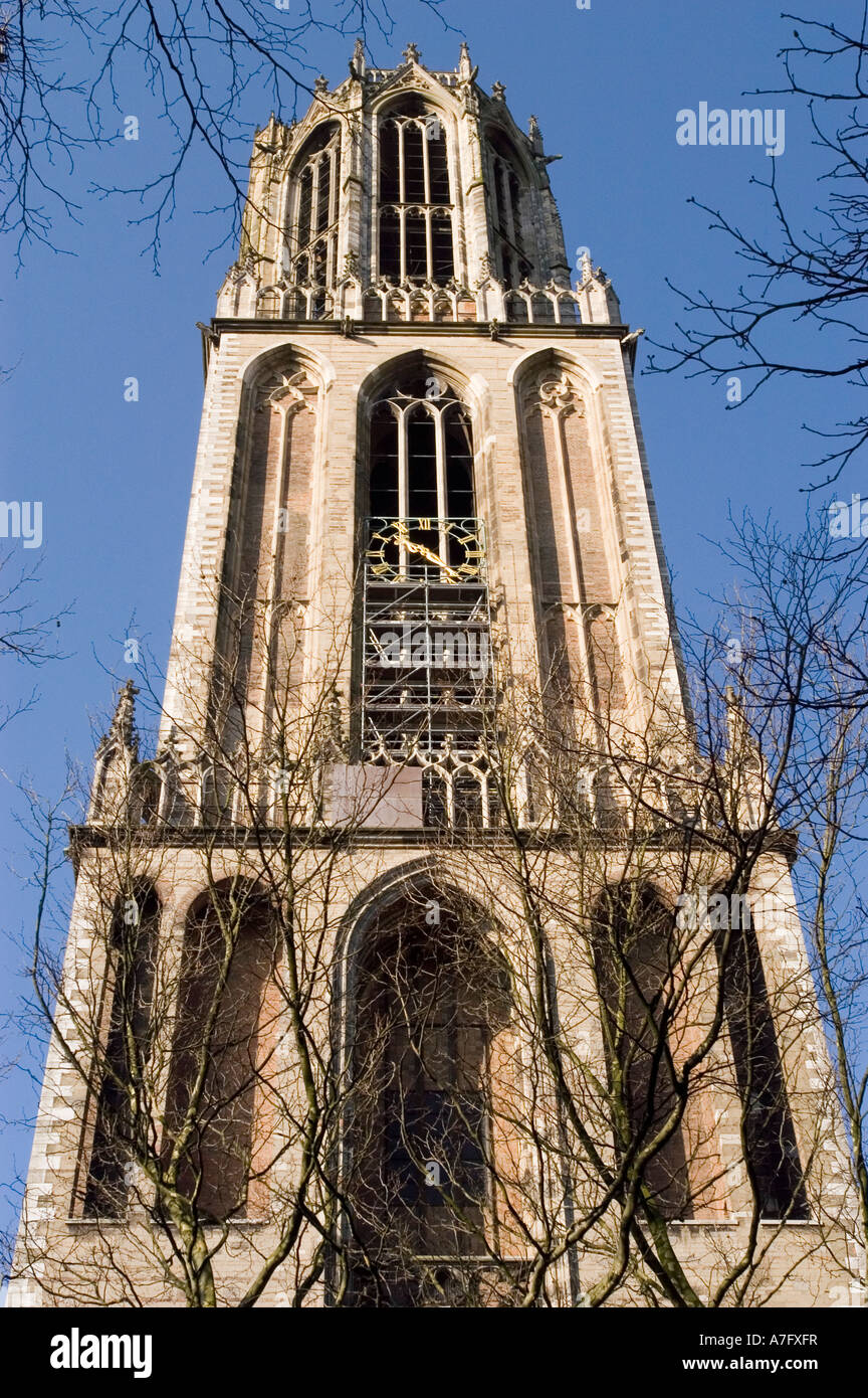 Gothic Domtoren or Dome Church Tower with blue sky background in ...