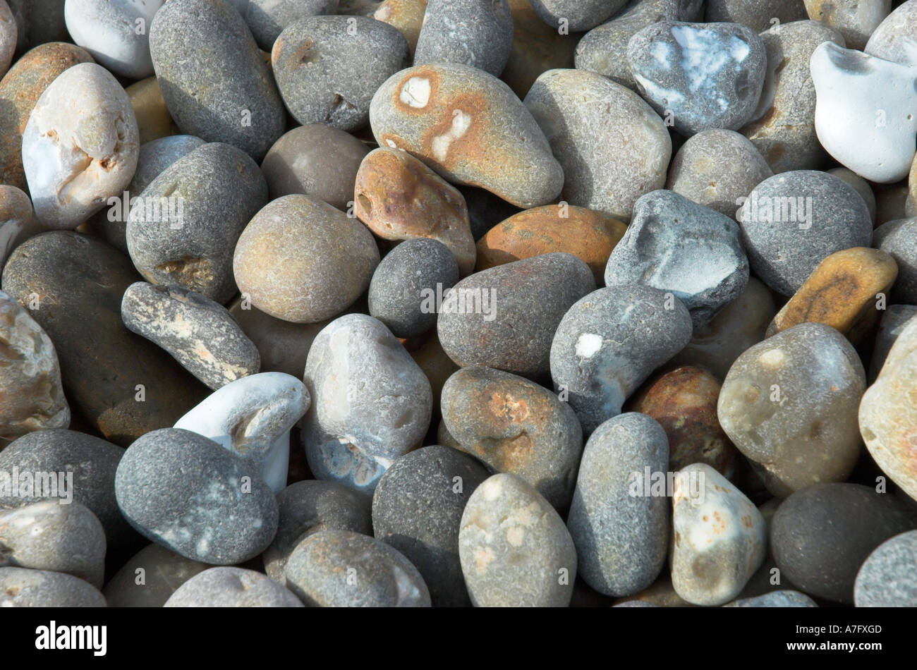 Pebbles on beach in Sidmouth, Devon, UK Stock Photo - Alamy
