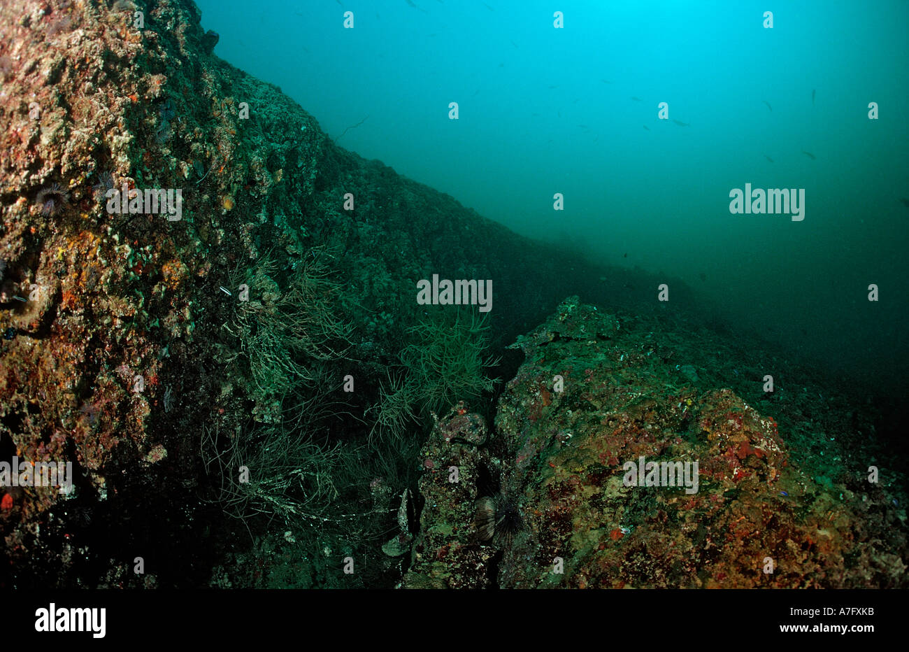 Underwater Rift Zone