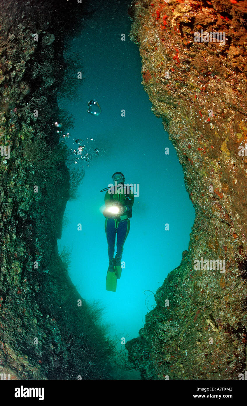 Scubadiver and tectonical rift Djibouti Djibuti Africa Afar Triangle ...