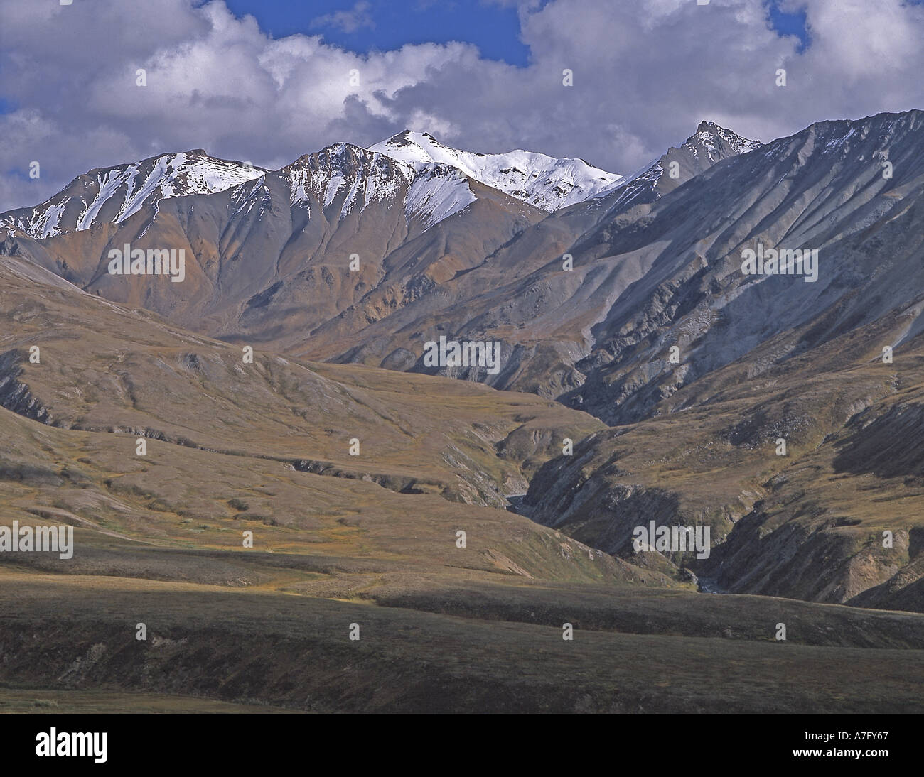 Alaska mountain range Denali National Park , AK Stock Photo - Alamy