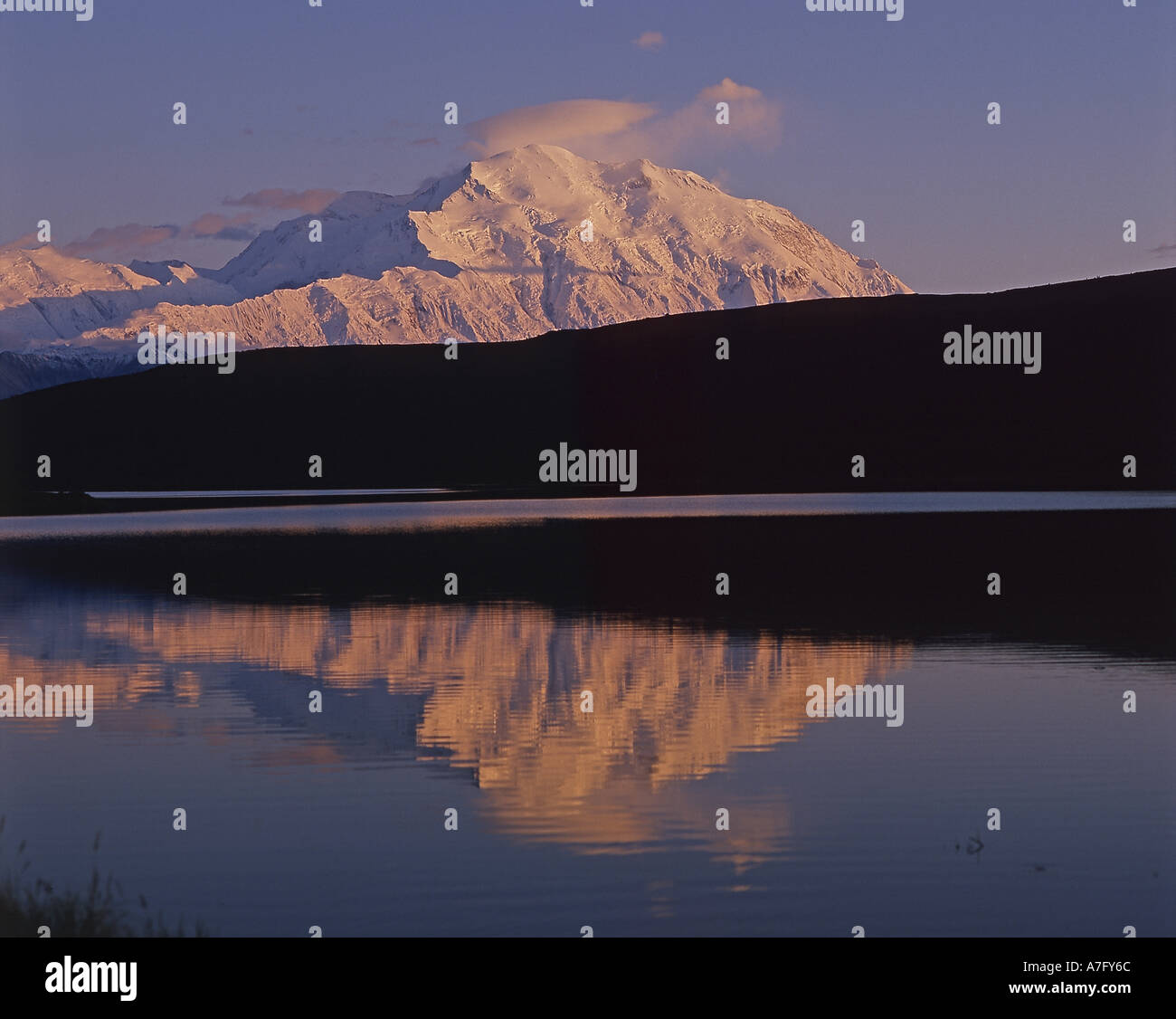 Mt . McKinley Denali National Park , AK Stock Photo - Alamy