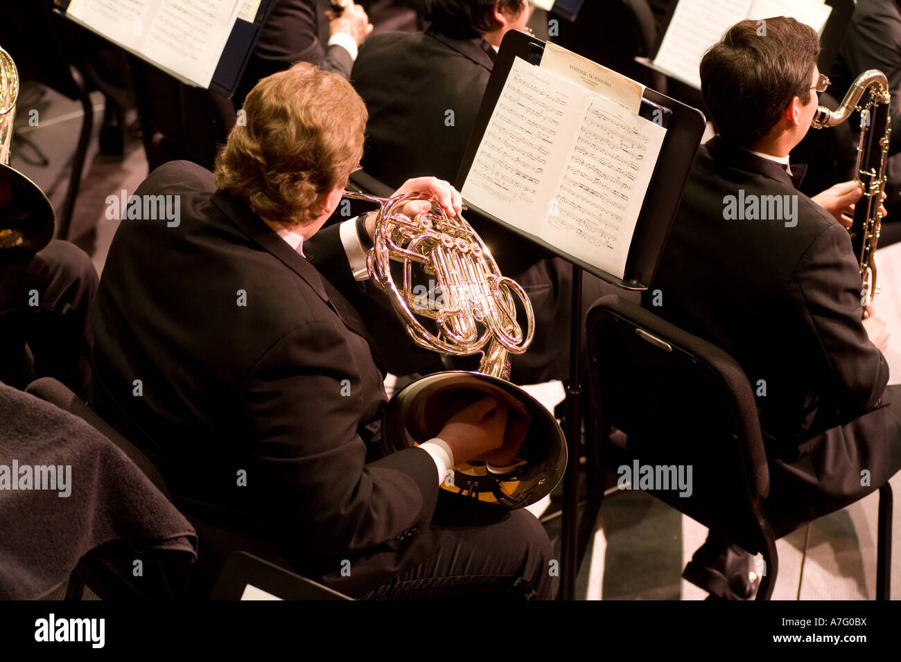French horn hi-res stock photography and images - Alamy