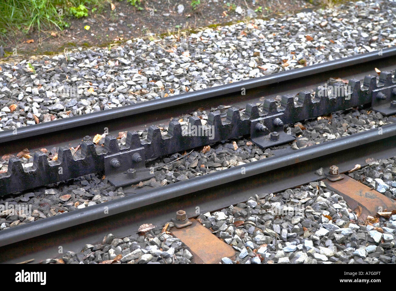 Center cog track allows trains to pull themselves up Swiss mountains by ...