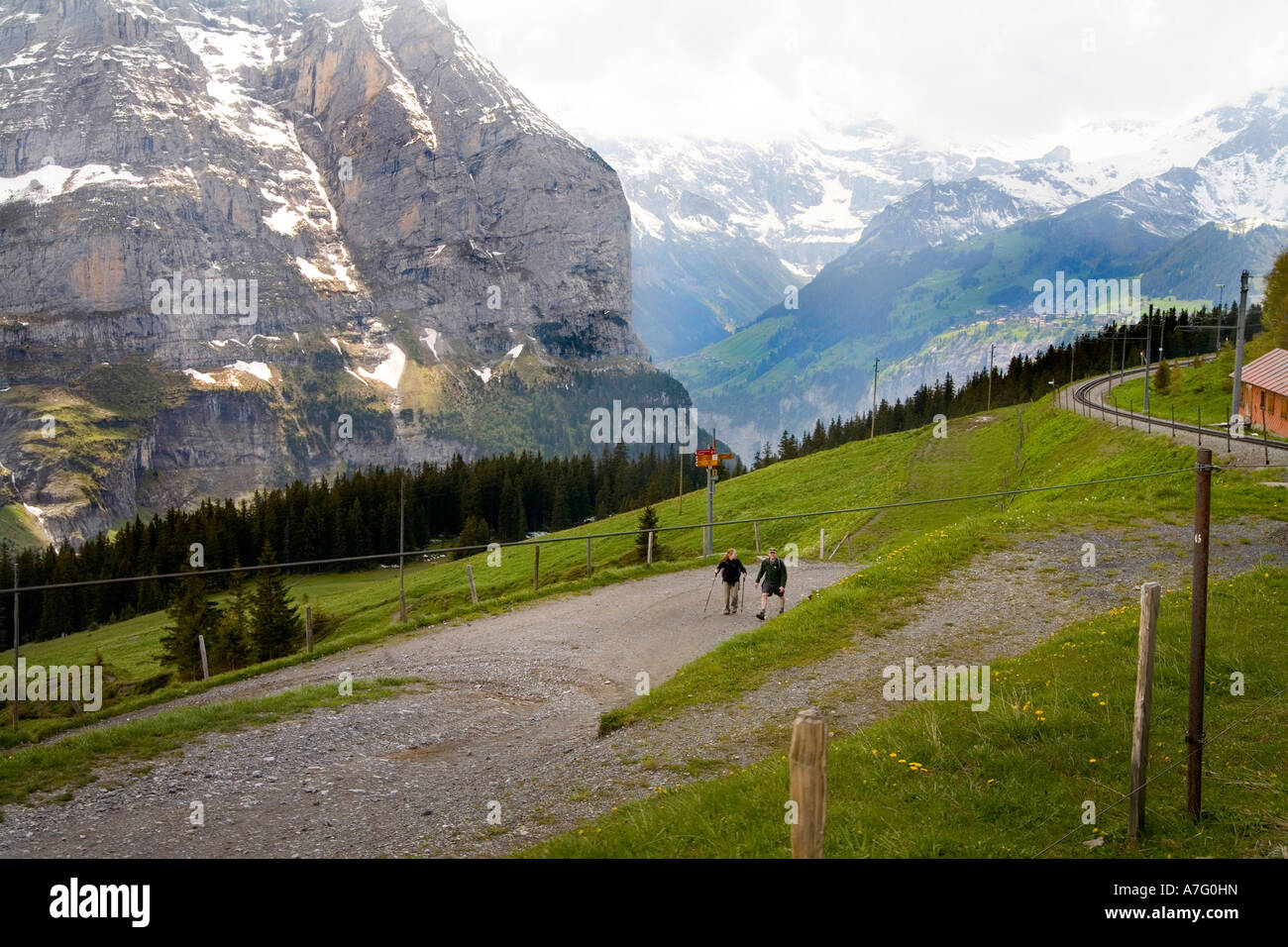 Hikers walk the gentle path from Kleine Scheidigg down to Wengen past ...