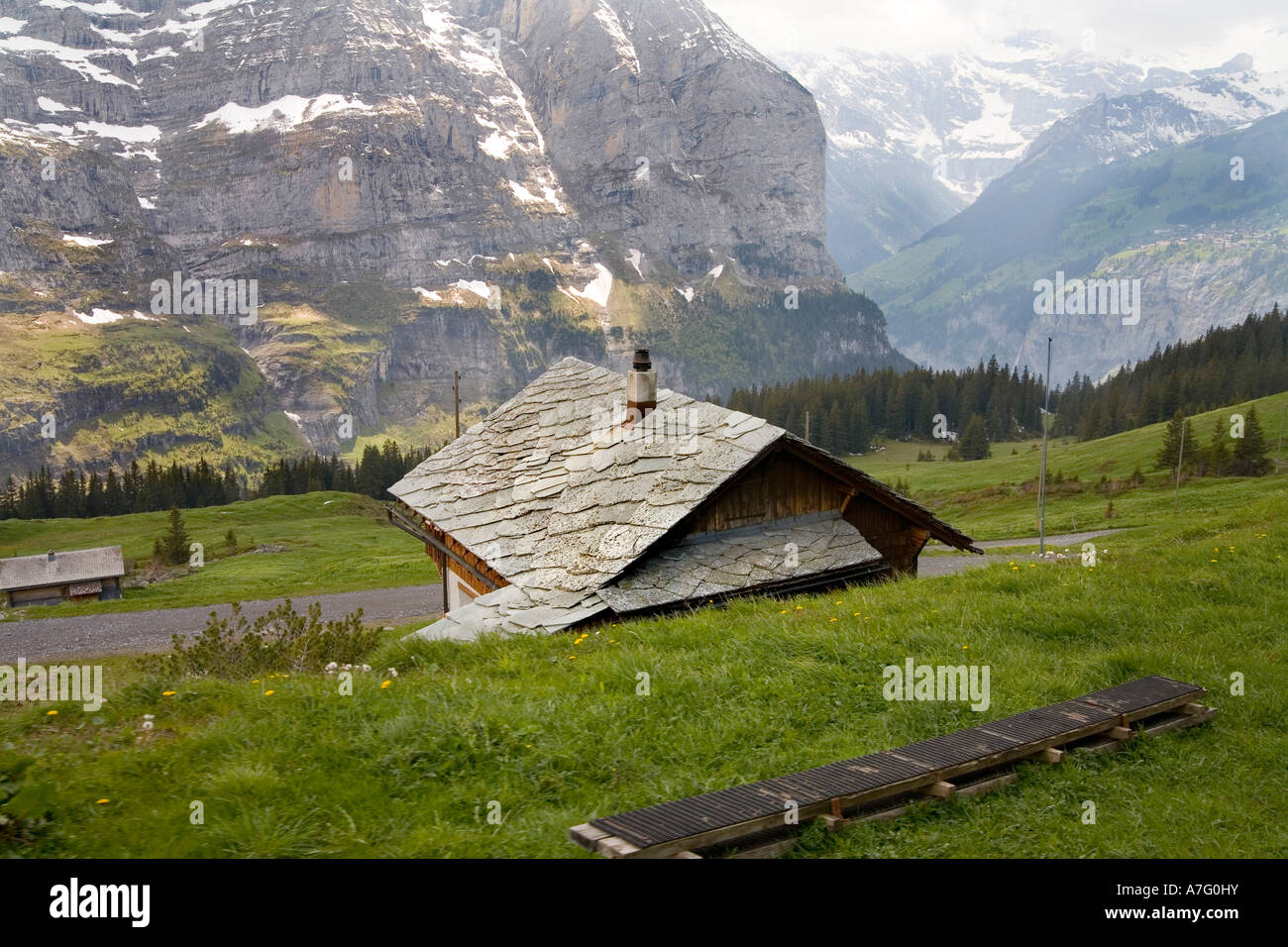 Swiss chalet in Alps above Interlaken Switzerland shows split slate ...