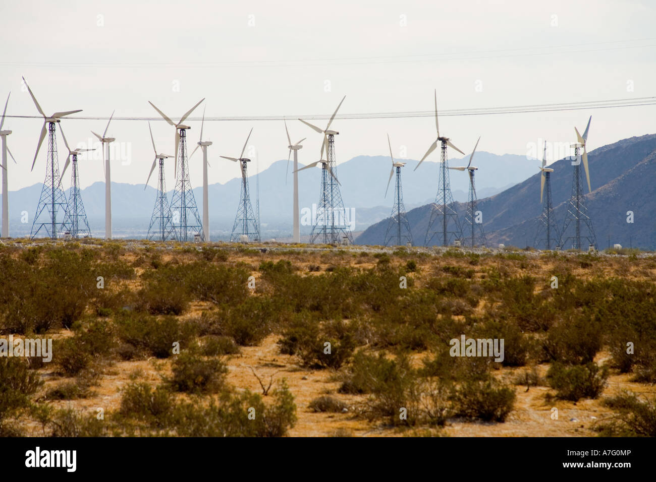 More than 4000 generators operate in the San Gorgonio Pass wind turbine ...