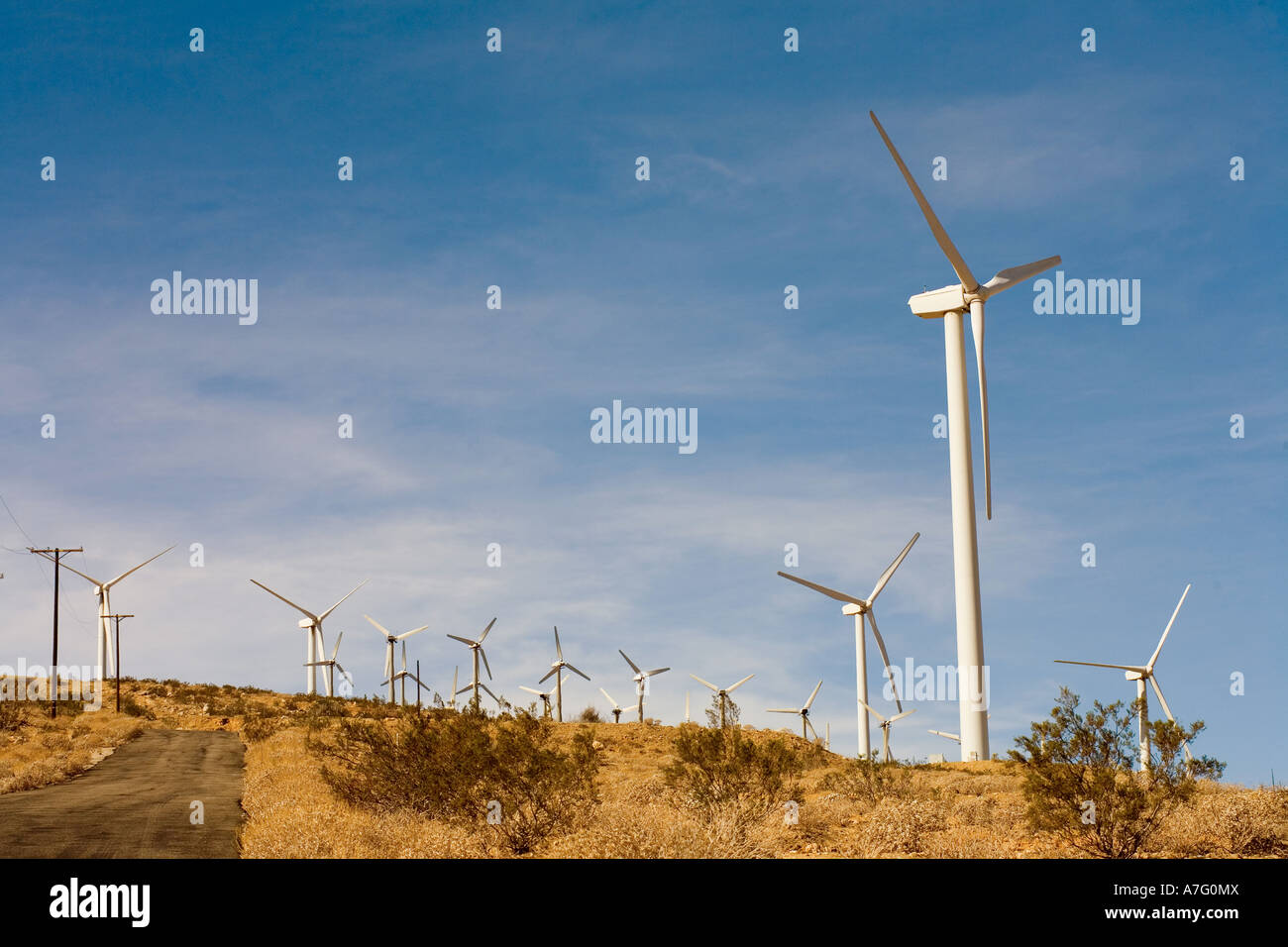 More than 4000 generators operate in the San Gorgonio Pass wind turbine ...