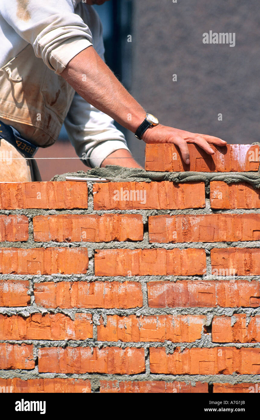 Man Building Brick Wall