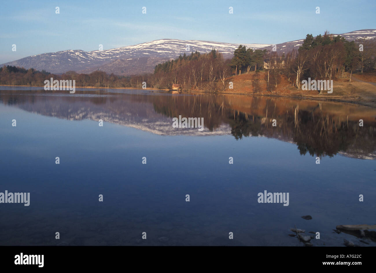 loch alvie near aviemore seen at winter reflecting the mountains ...