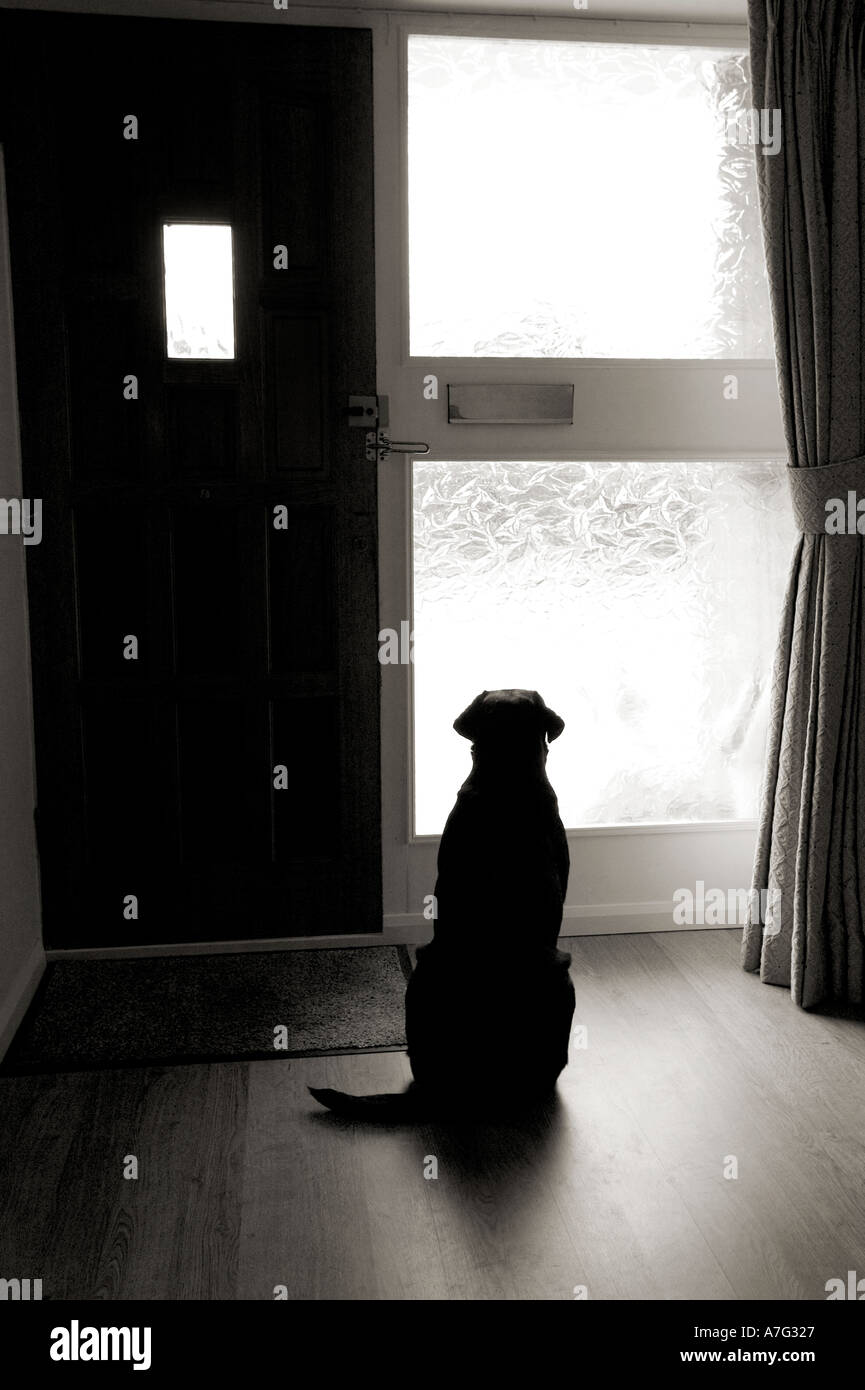 Faithful wait hi-res stock photography and images - Alamy