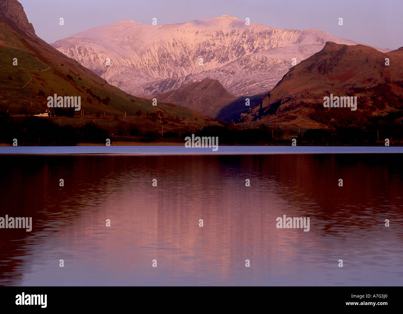 Snowdon covered in snow reflected in Llyn Nantlle Uchaf Snowdonia ...
