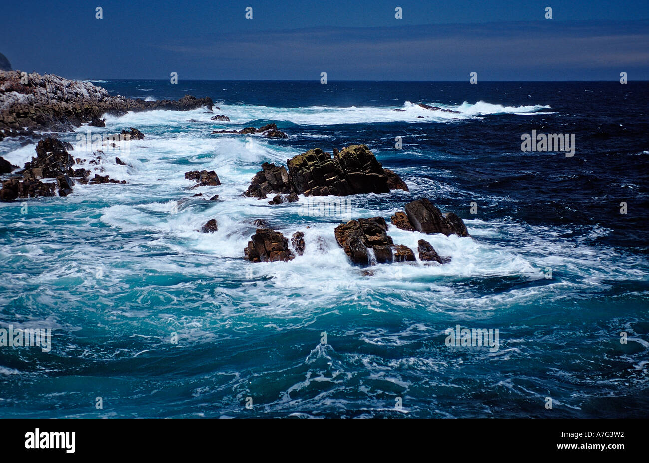 Sharp Rock coast South Africa Tsitsikamma National Park Otter trail ...