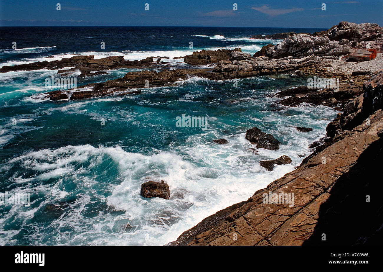 Sharp Rock coast South Africa Tsitsikamma National Park Otter trail ...