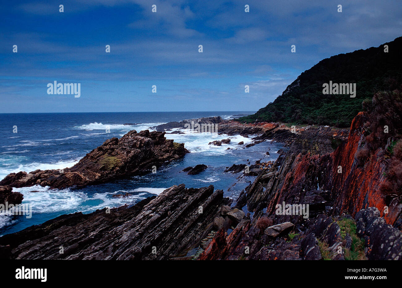 Sharp Rock coast South Africa Tsitsikamma National Park Otter trail ...