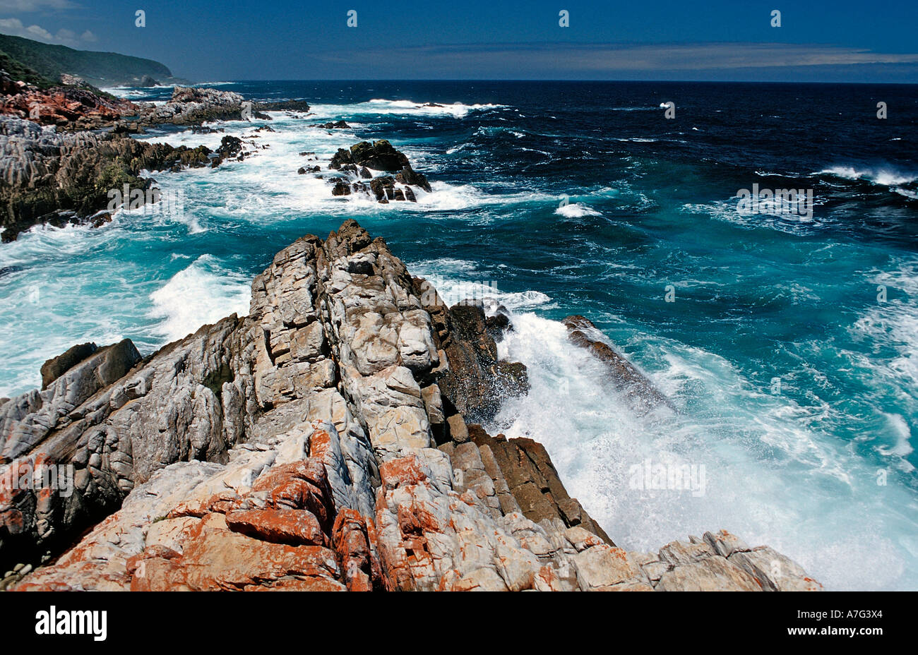Sharp Rock coast South Africa Tsitsikamma National Park Otter trail ...