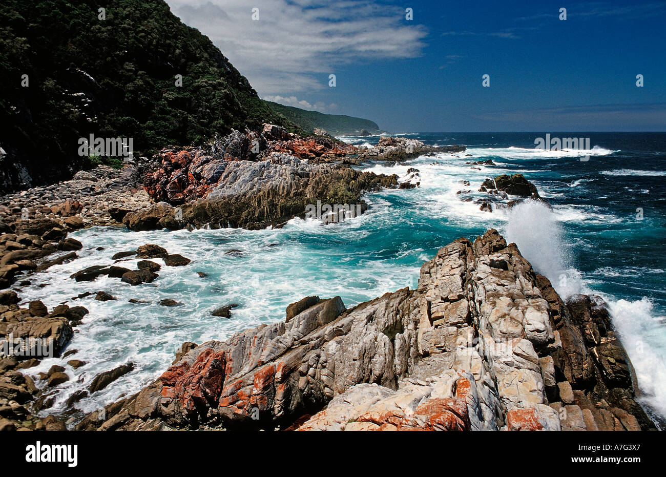 Sharp Rock coast South Africa Tsitsikamma National Park Otter trail ...