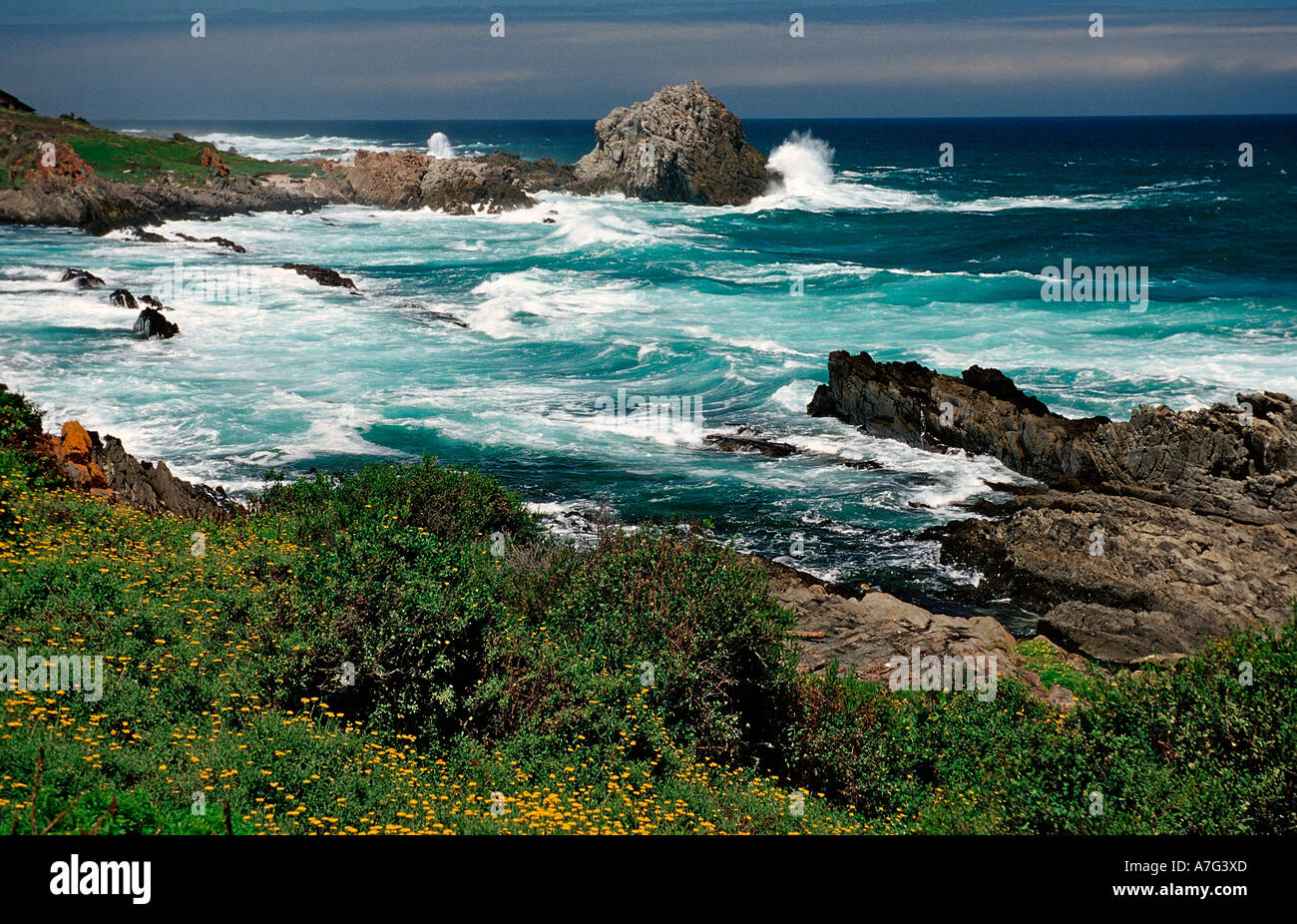 Sharp Rock coast South Africa Tsitsikamma National Park Otter trail ...