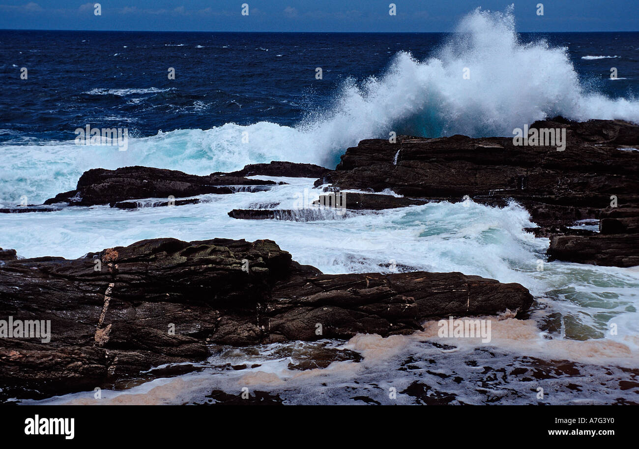 Sharp Rock coast South Africa Tsitsikamma National Park Otter trail ...