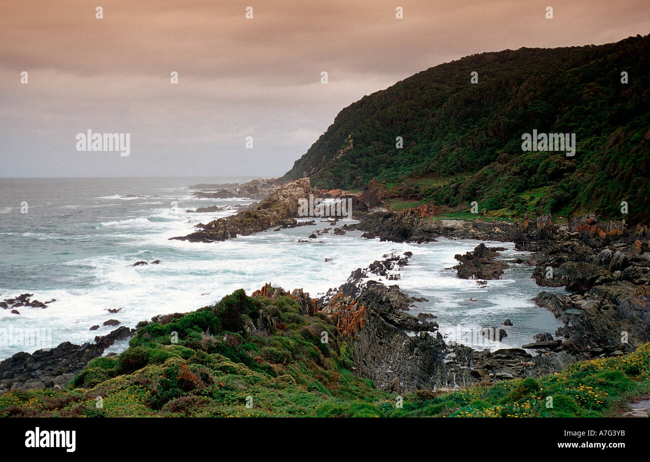 Sharp Rock coast South Africa Tsitsikamma National Park Otter trail ...