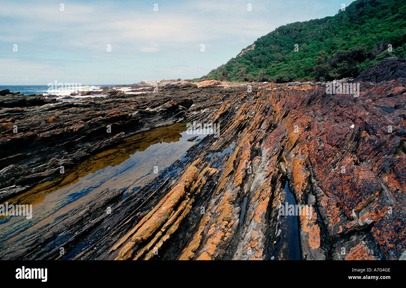 Sharp Rock coast South Africa Tsitsikamma National Park Otter trail ...