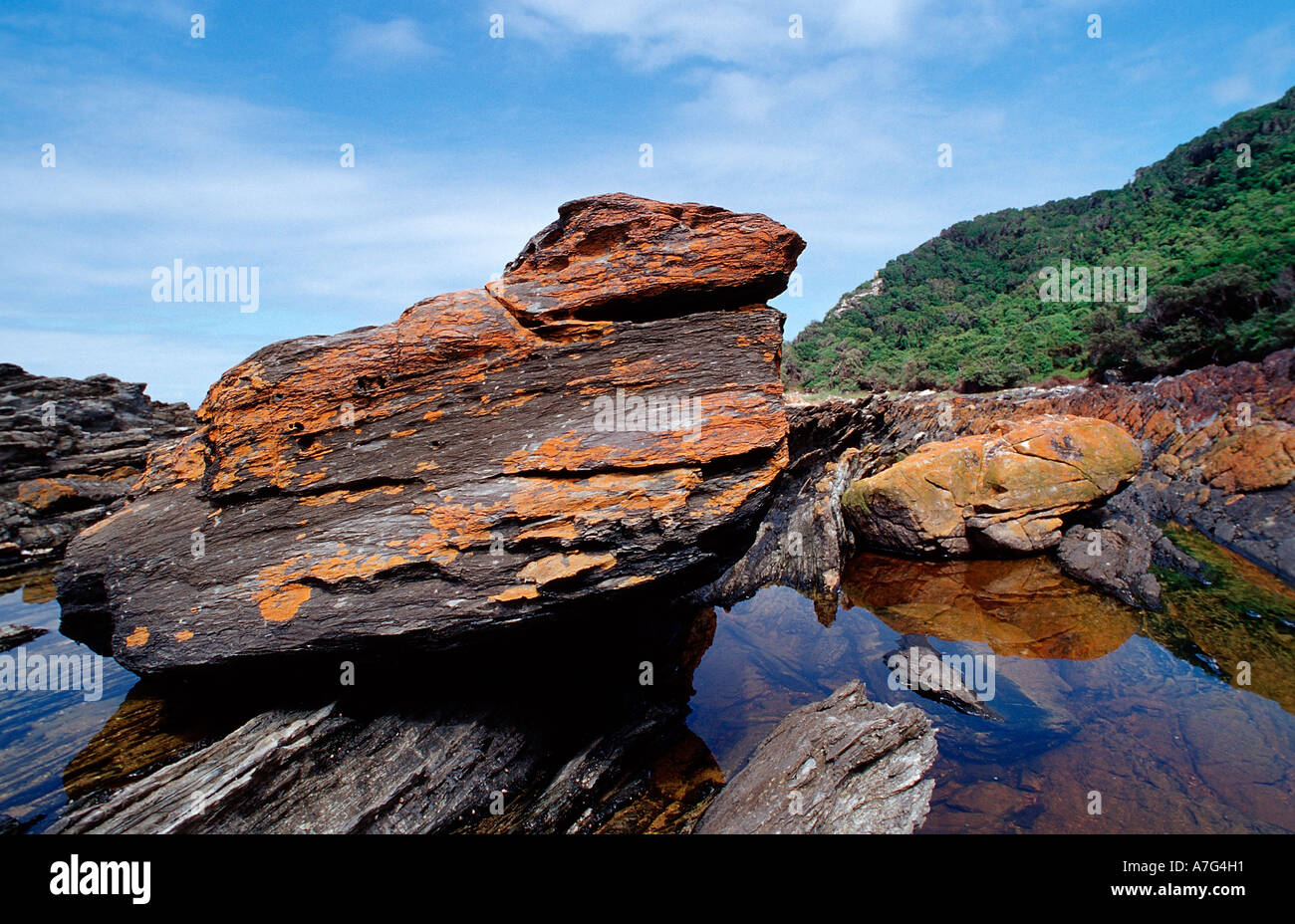 Sharp Rock coast South Africa Tsitsikamma National Park Otter trail ...