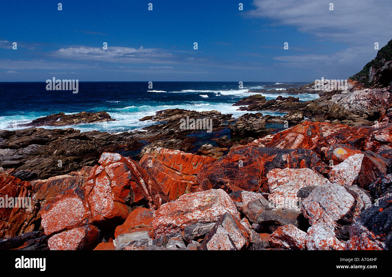 Sharp Rock coast South Africa Tsitsikamma National Park Otter trail ...