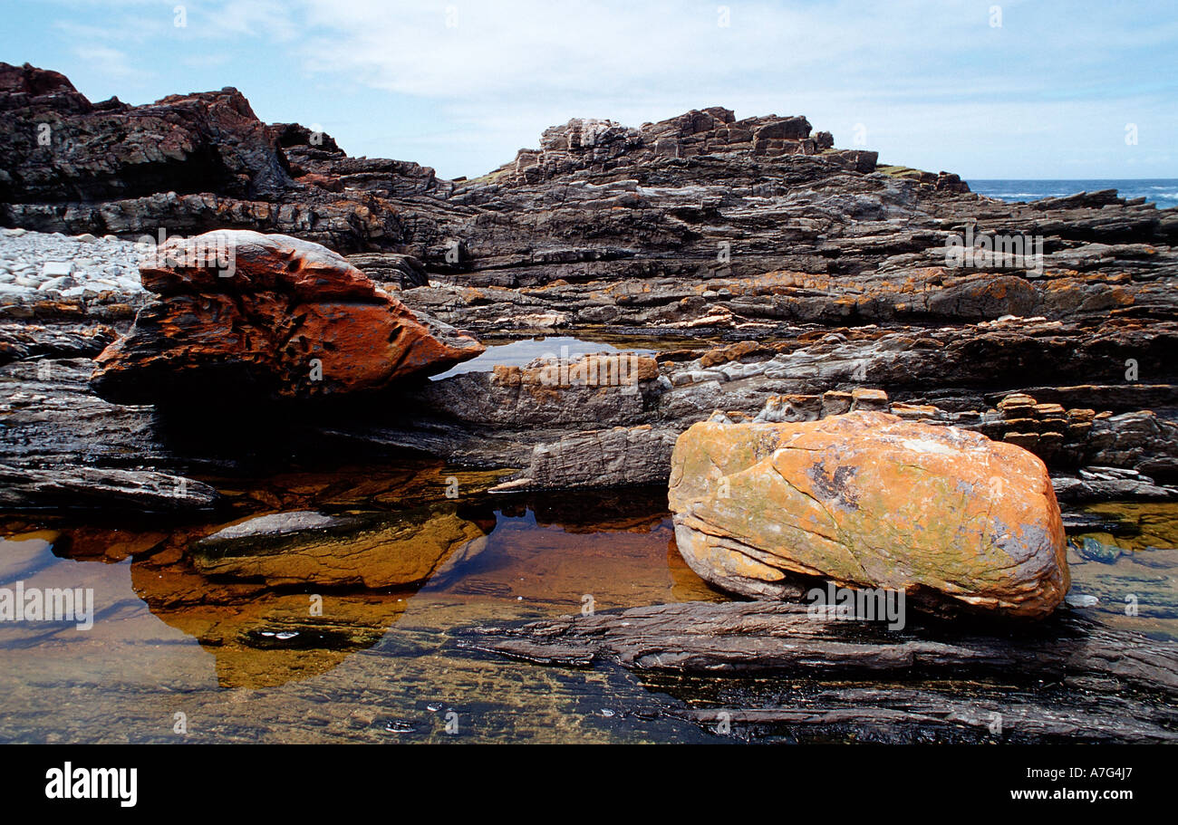 Sharp Rock coast South Africa Tsitsikamma National Park Otter trail ...