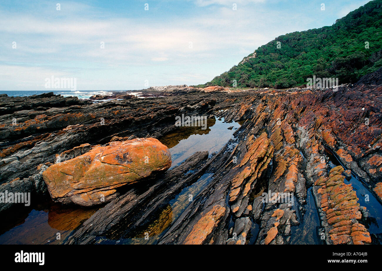Sharp Rock coast South Africa Tsitsikamma National Park Otter trail ...