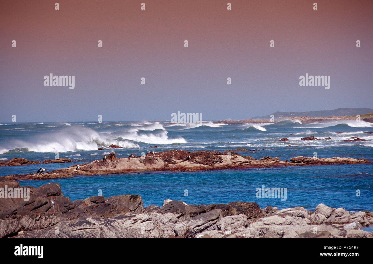 Ibhayi hi-res stock photography and images - Alamy
