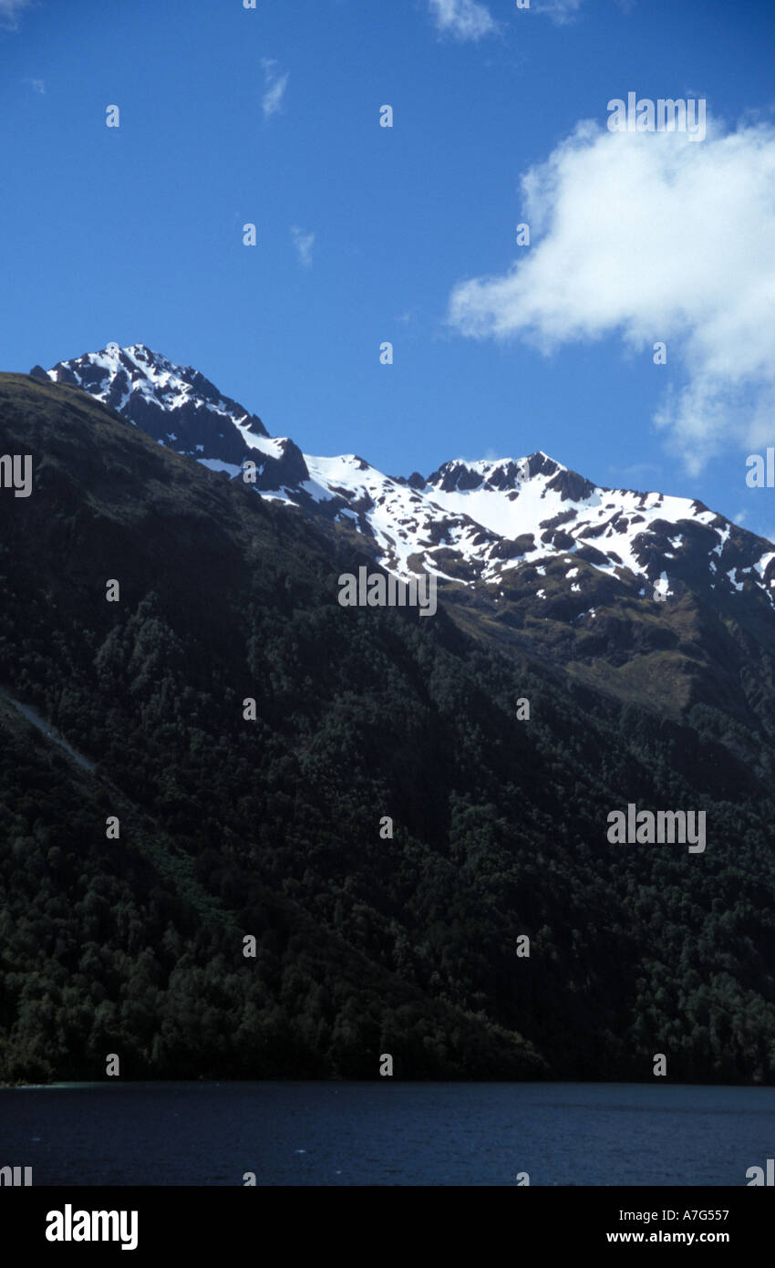 mountain above the bush from the routeburn trail new zealand Stock ...